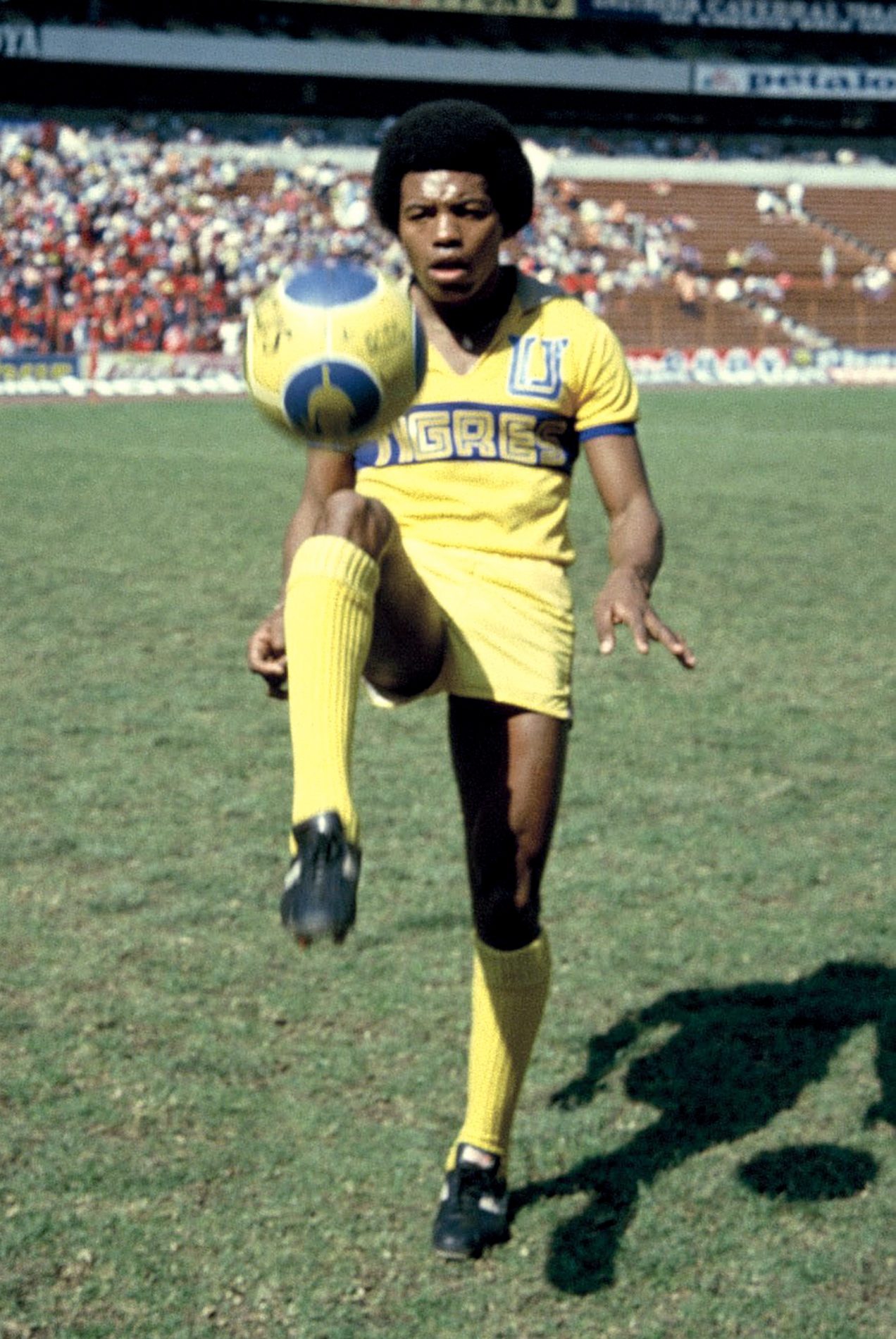 Las ‘U’ de Tigres – elnorte