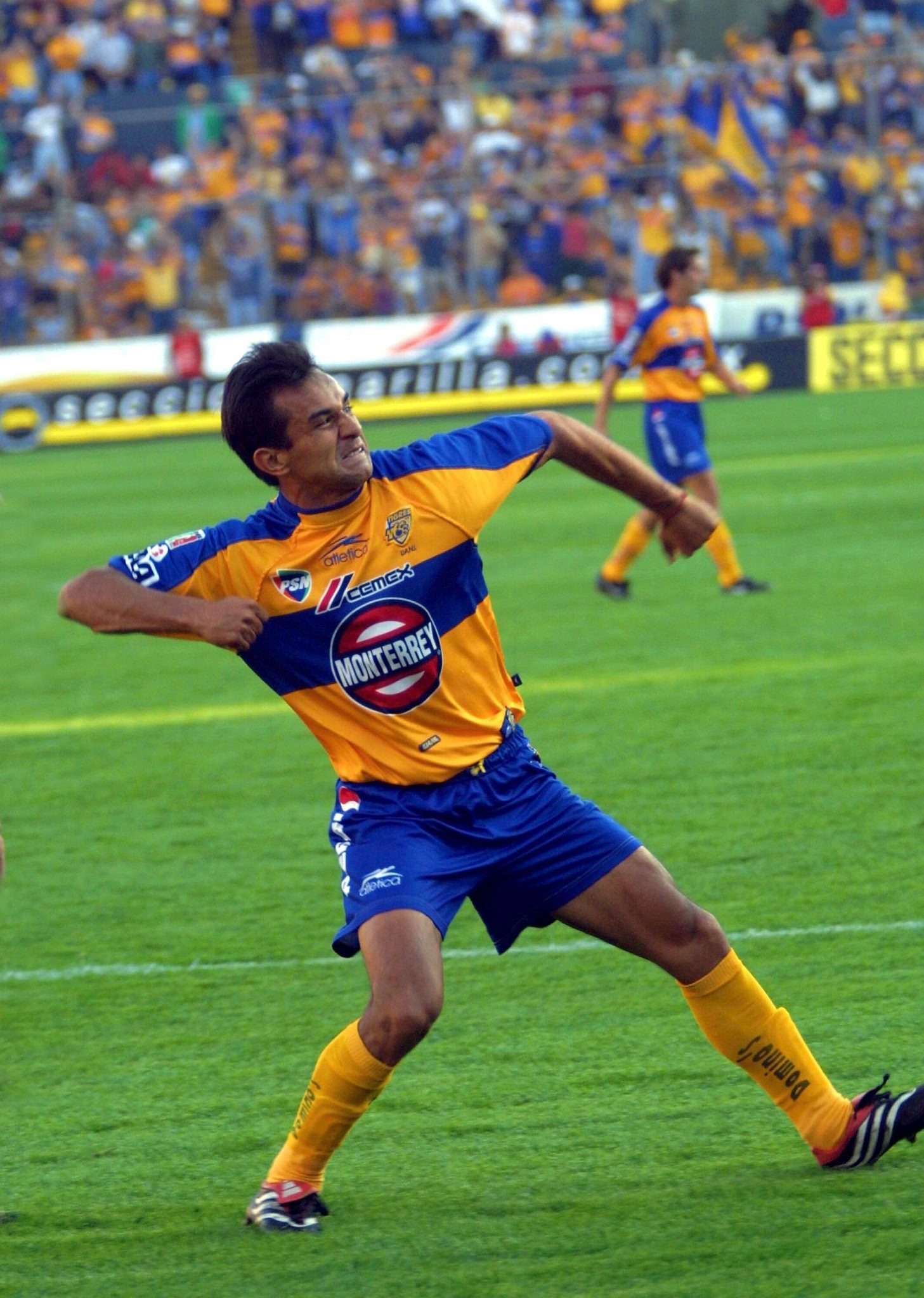 Elementor #58108 – elnorte