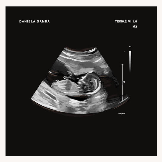 MOMENTOS DANIELA GAMBA – elnorte