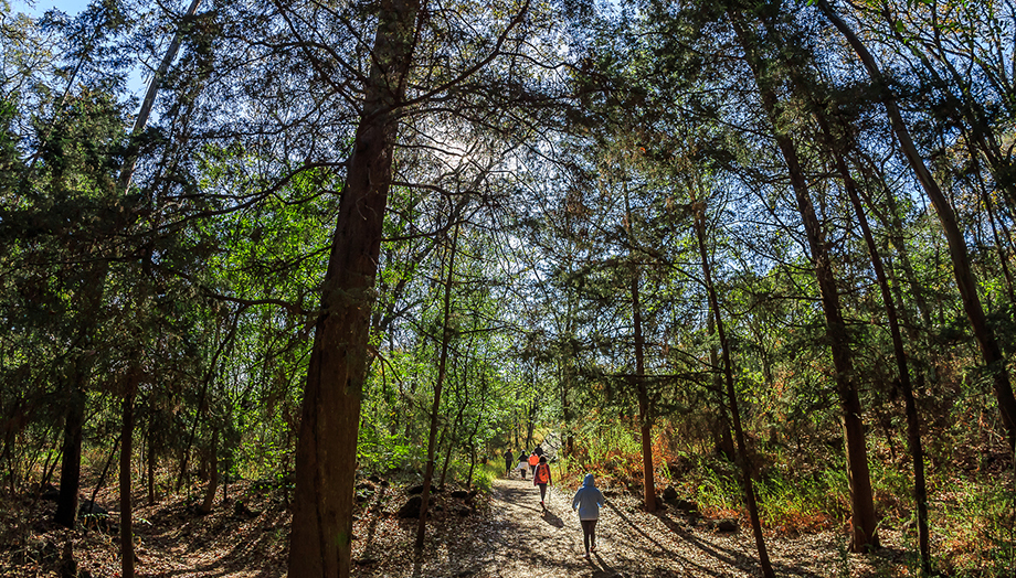 6 Áreas Naturales Protegidas para visitar en CDMX – elnorte