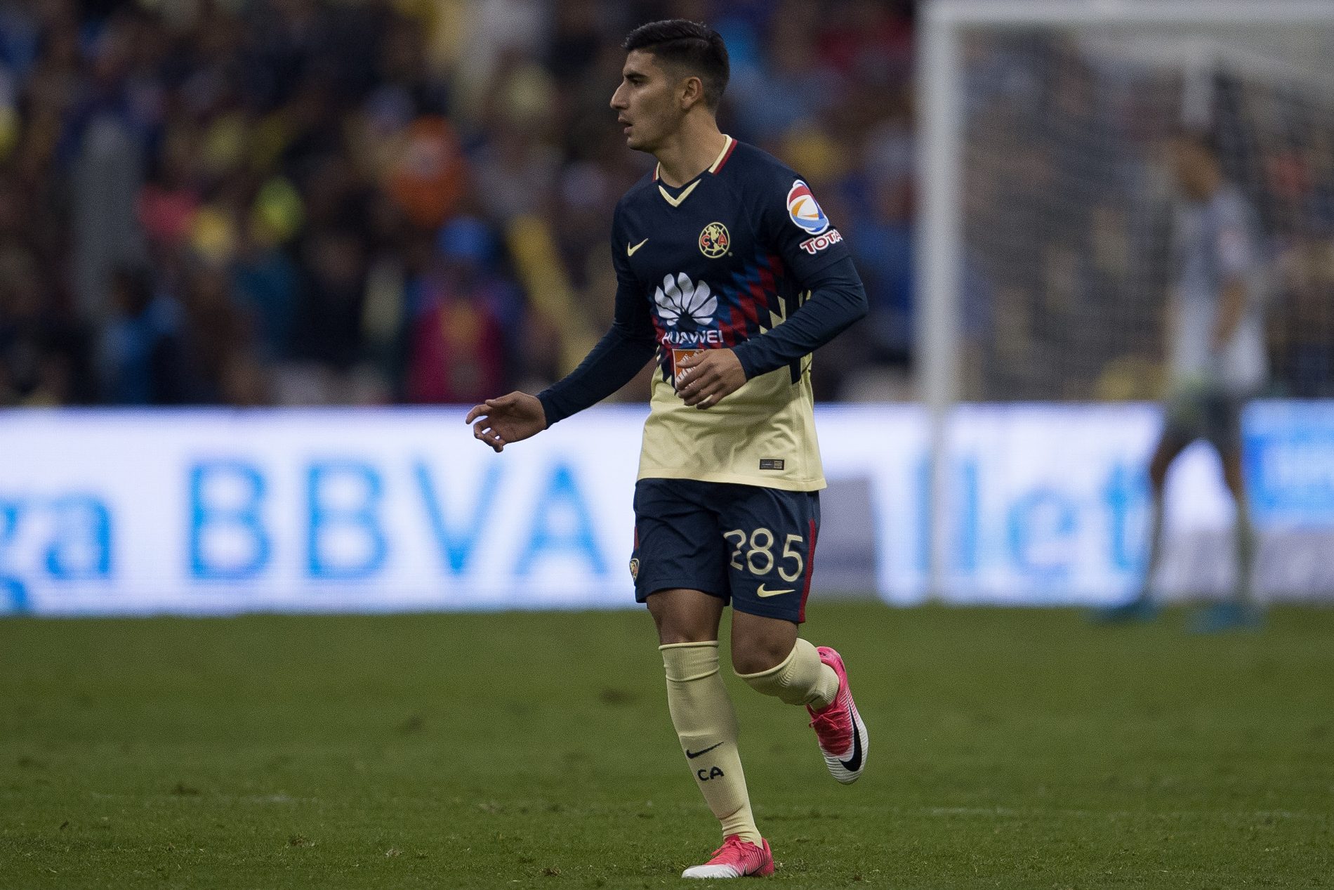 Elementor #125531 – elnorte