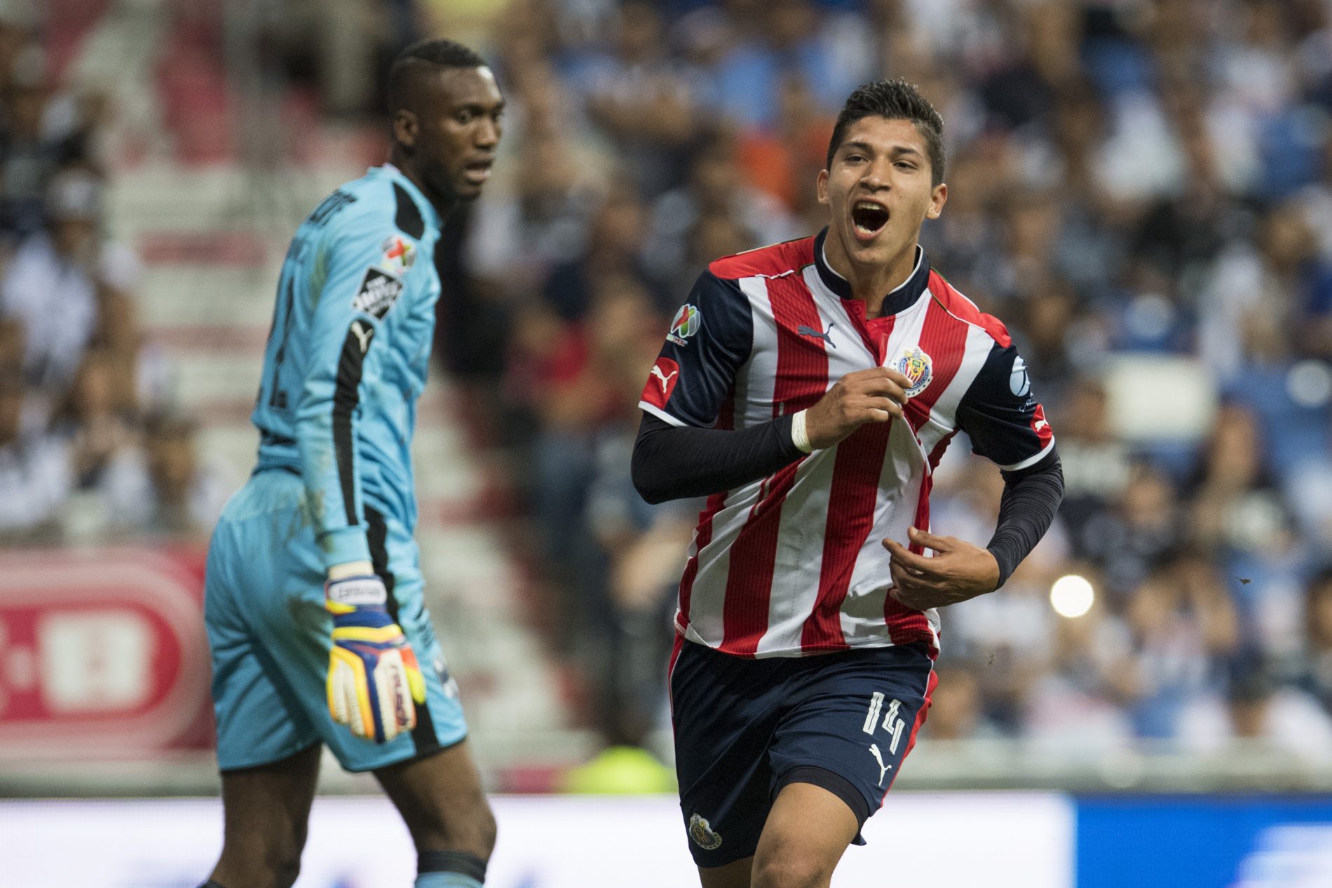Los 7 datos Rayados-Chivas – elnorte