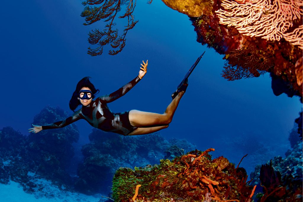 Estrella Navarro en aguas profundas – elnorte