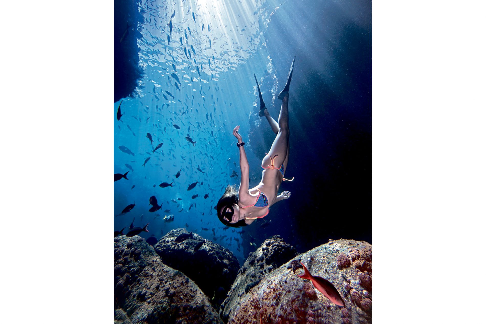 Estrella Navarro en aguas profundas – elnorte