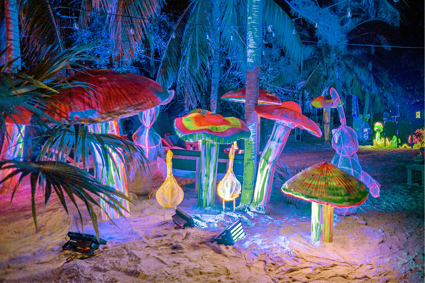 Elementor Kirschner – elnorte