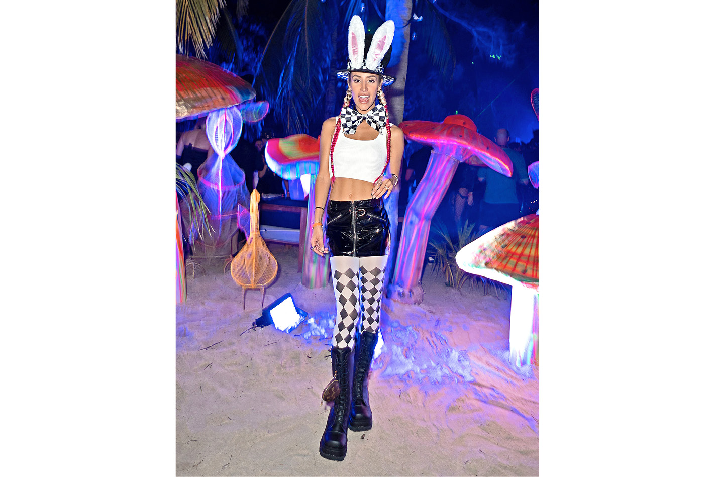 Elementor Kirschner – elnorte