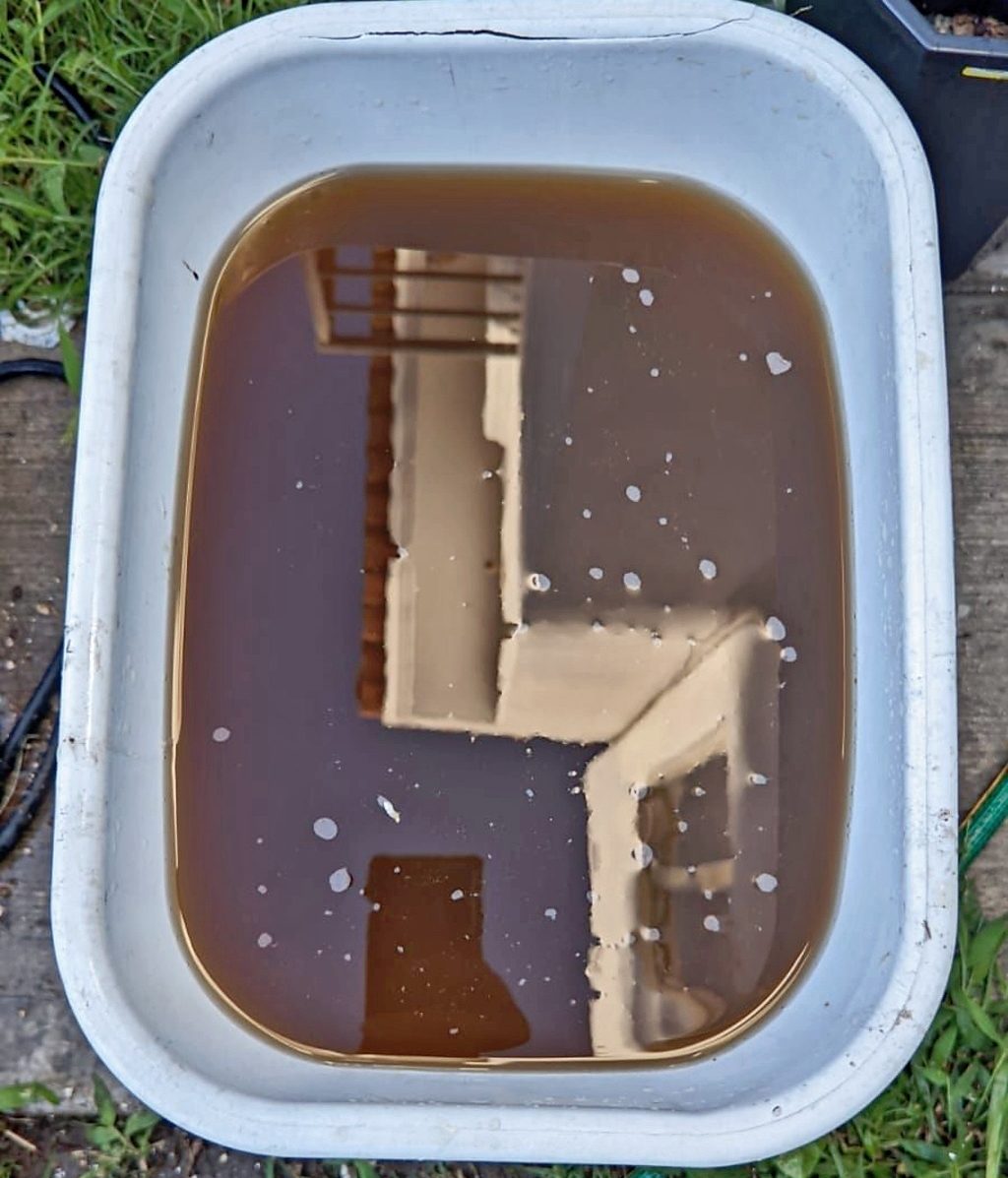 Interactivo de Agua Turbia – elnorte