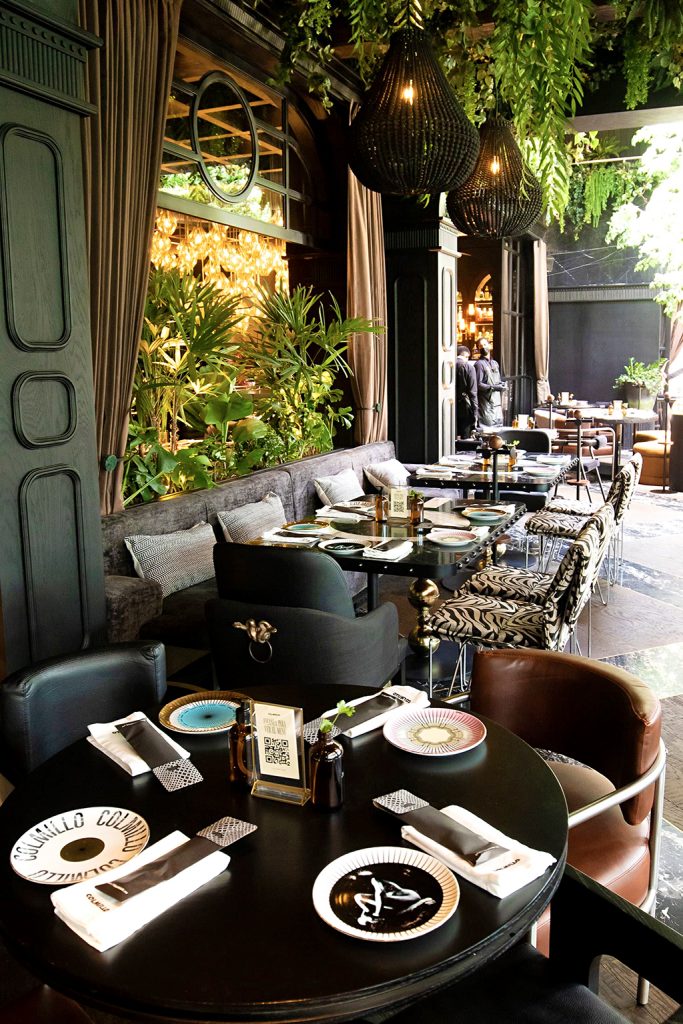 Colmillo: el restaurante donde quieres estar – elnorte