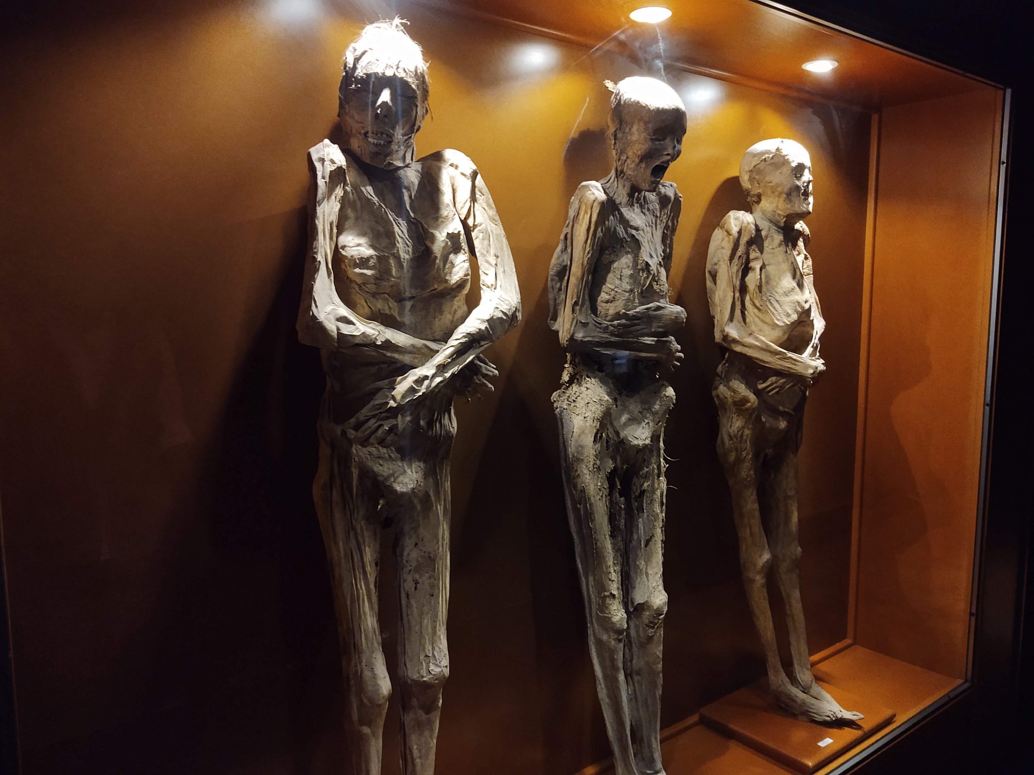 10 datos sobre las momias de Guanajuato – elnorte