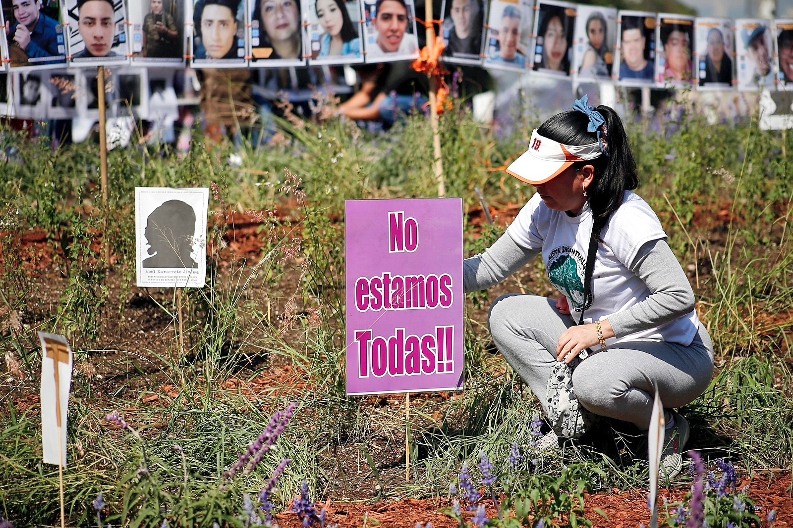 El ahuehuete de Reforma está en jaque y esta es su historia – elnorte