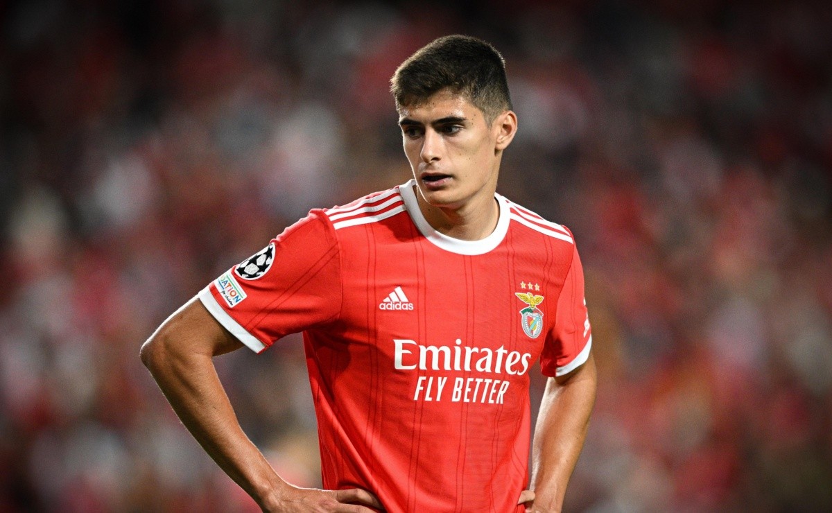 Elementor #568179 – elnorte