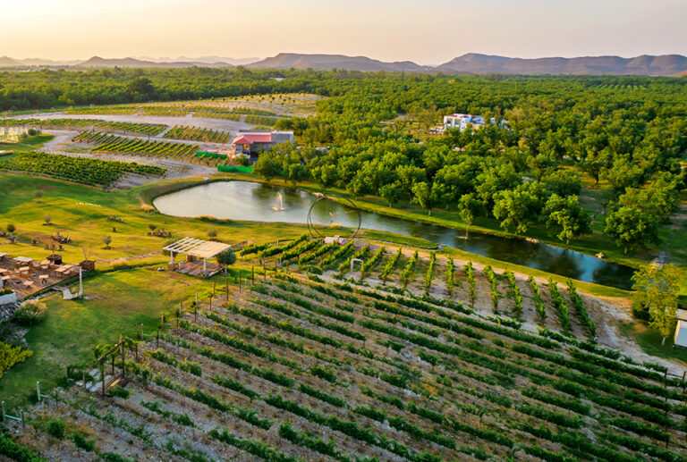 Parvada nota 1 dic – elnorte