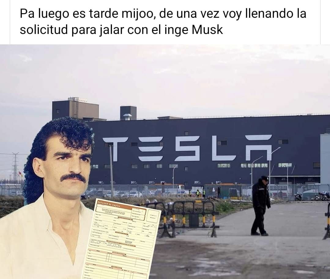 memes_tesla – elnorte