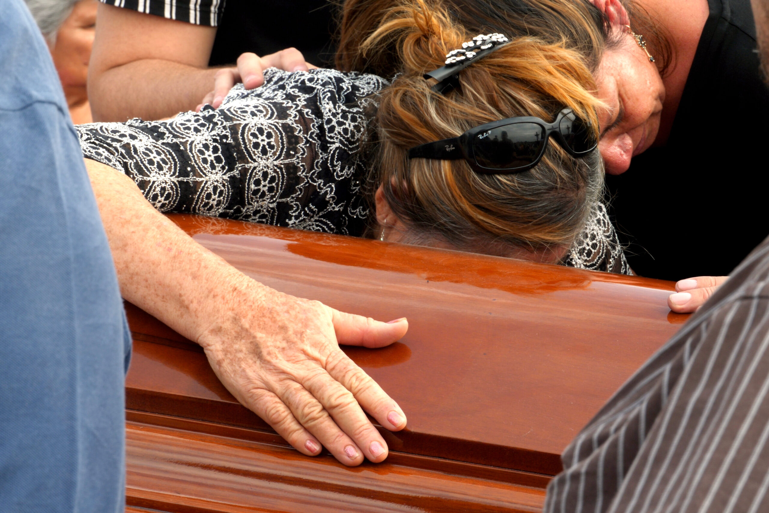 YEV 240323 – elnorte