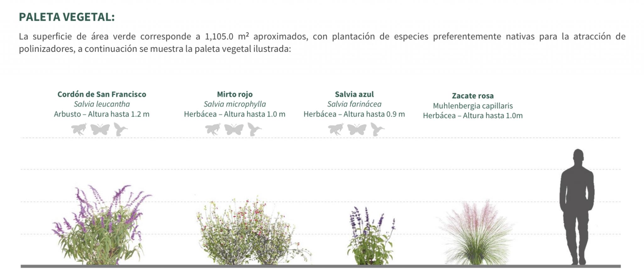 Así se verá la Glorieta del Ahuehuete – elnorte