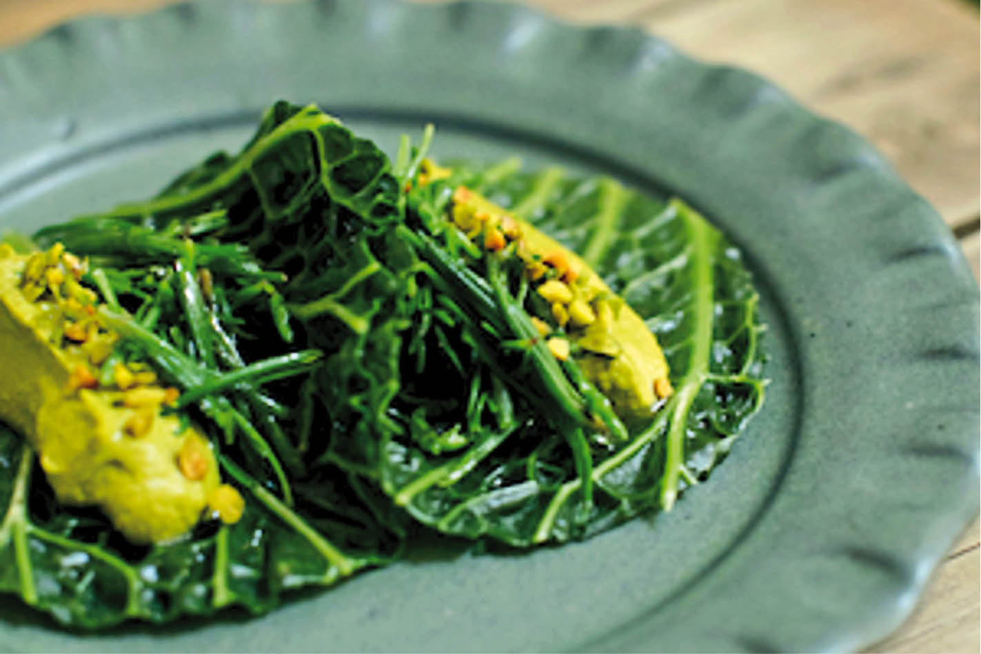 Conoce a Elena Reygadas en 20 datos – elnorte