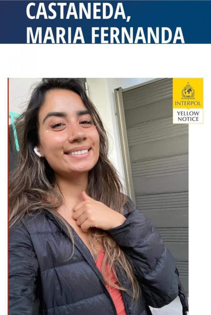 Elementor #815023 – elnorte