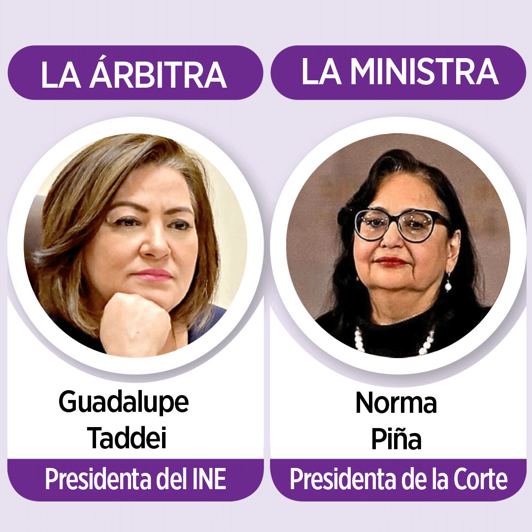 Elementor #826833 – elnorte