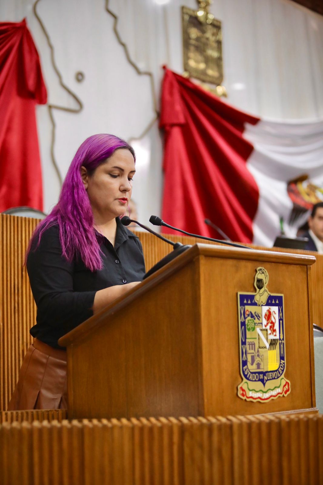 congreso – elnorte