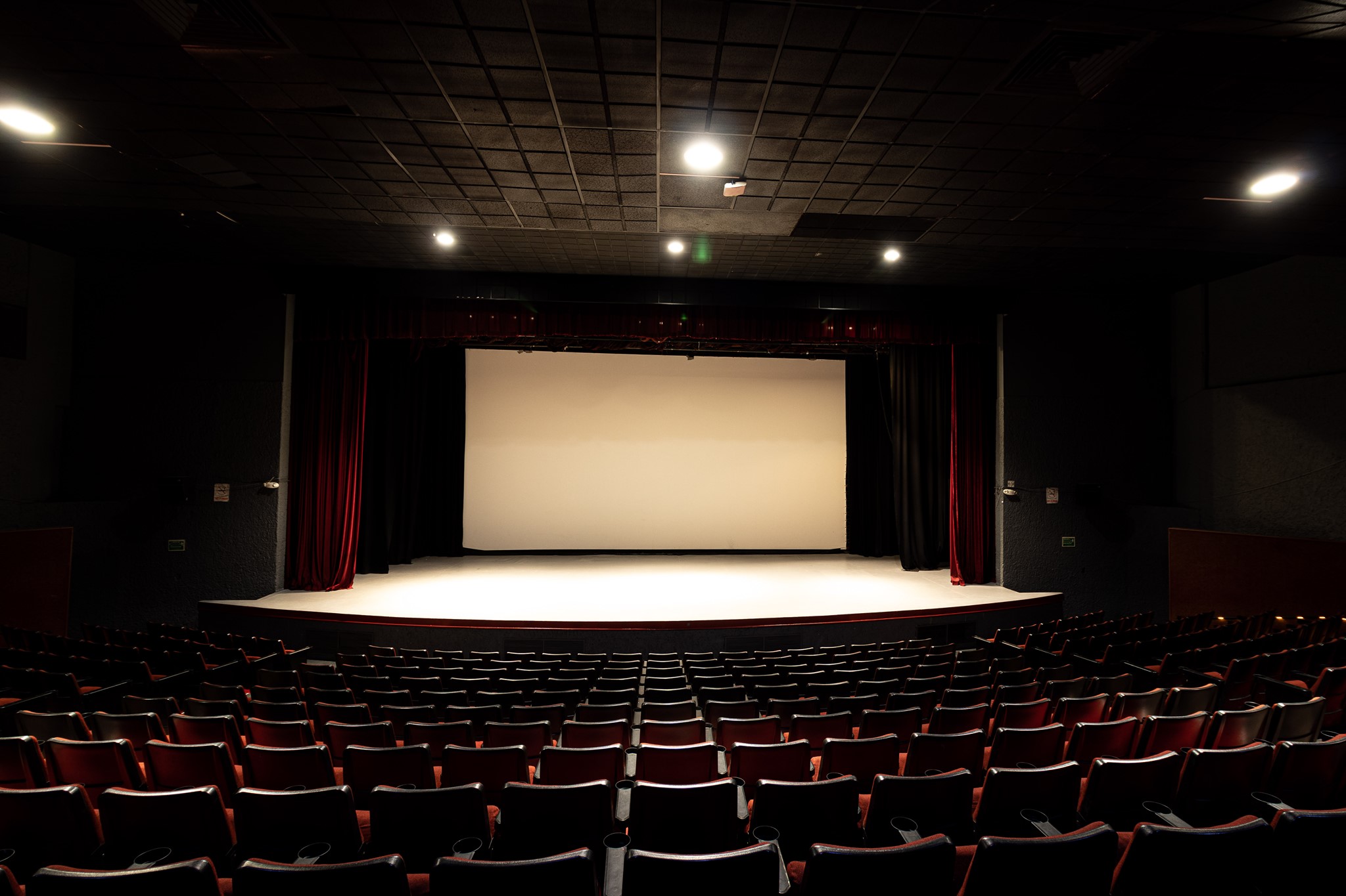 Guía de salas independientes y cineclubes en GDL – elnorte