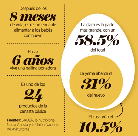 Huevo: un aliado para la salud – elnorte