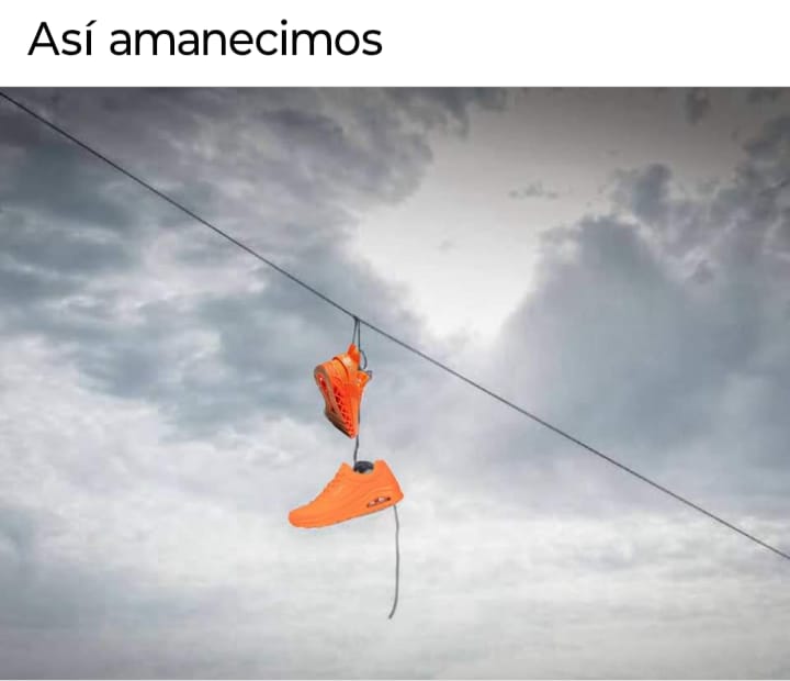 Elementor #903759 – elnorte