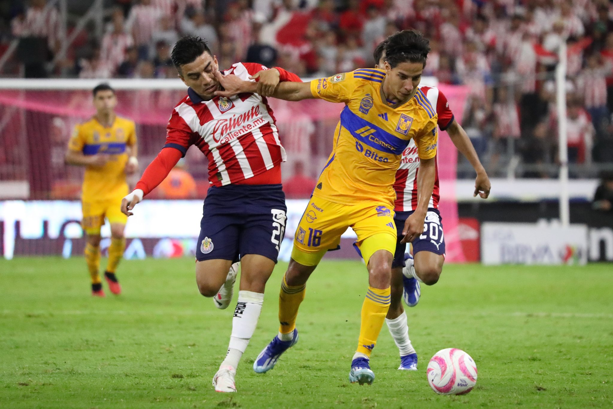Elementor Tigres-Columbus – elnorte