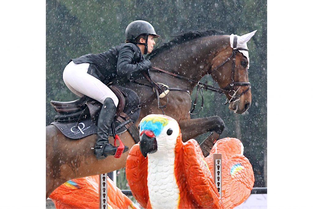 Circuito Hípico de la Ciudad 2024 – elnorte