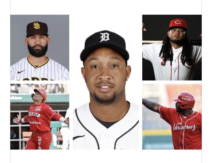 Liga Mexicana de Beisbol, un circuito de élite