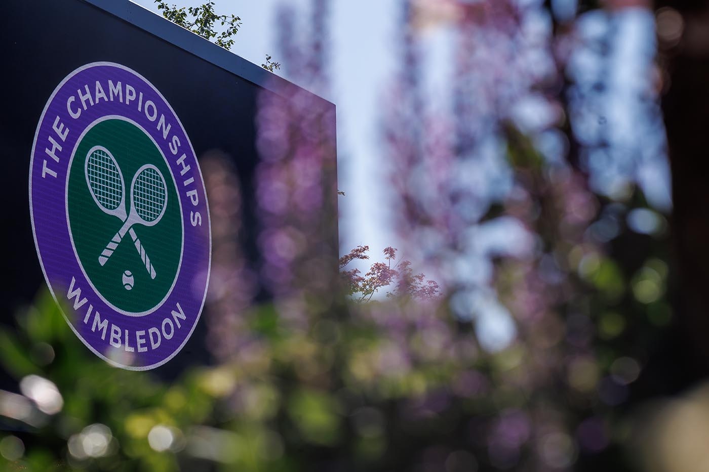 Lo que debes saber del Abierto de Wimbledon