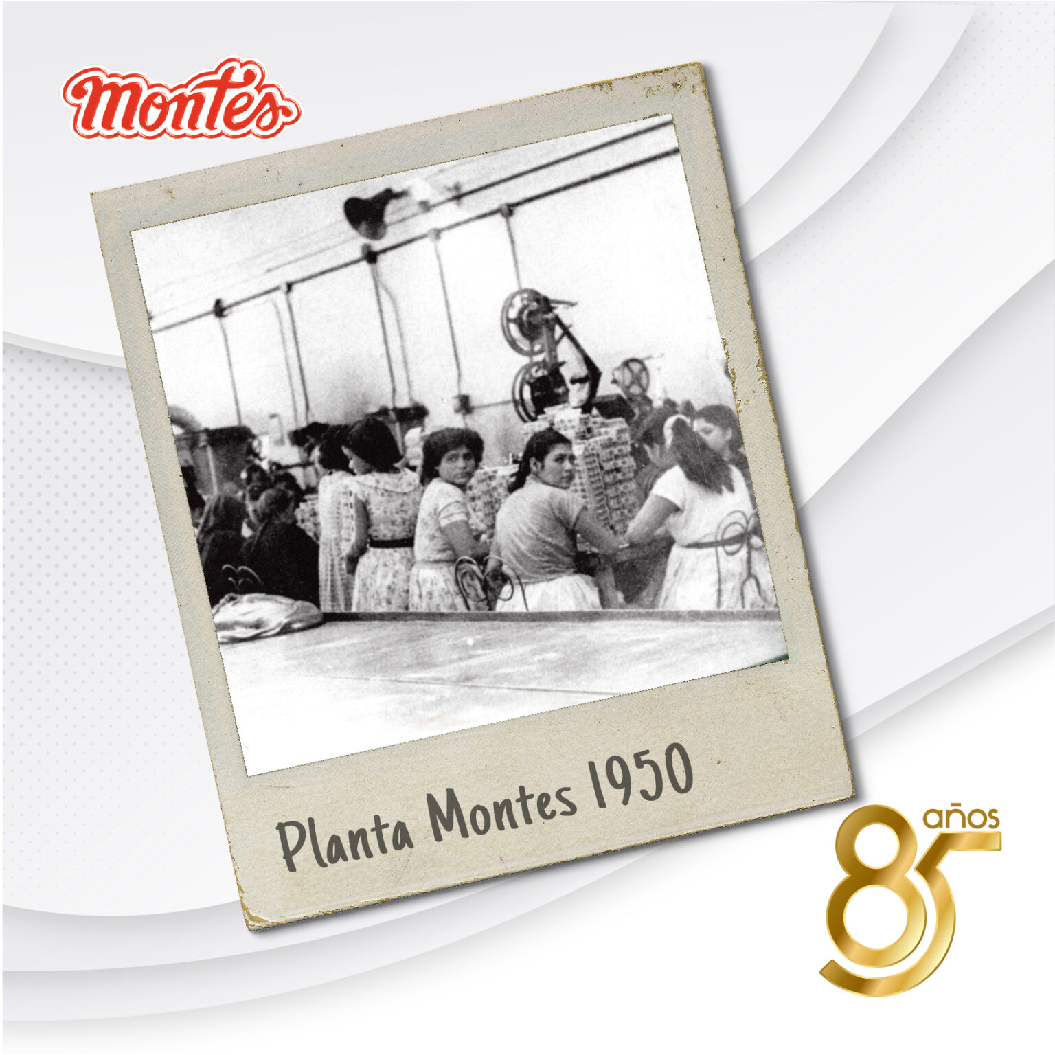 Elementor #1358211 – elnorte